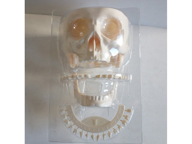 figura RBA LJUDSKO TELO - RAZNO -