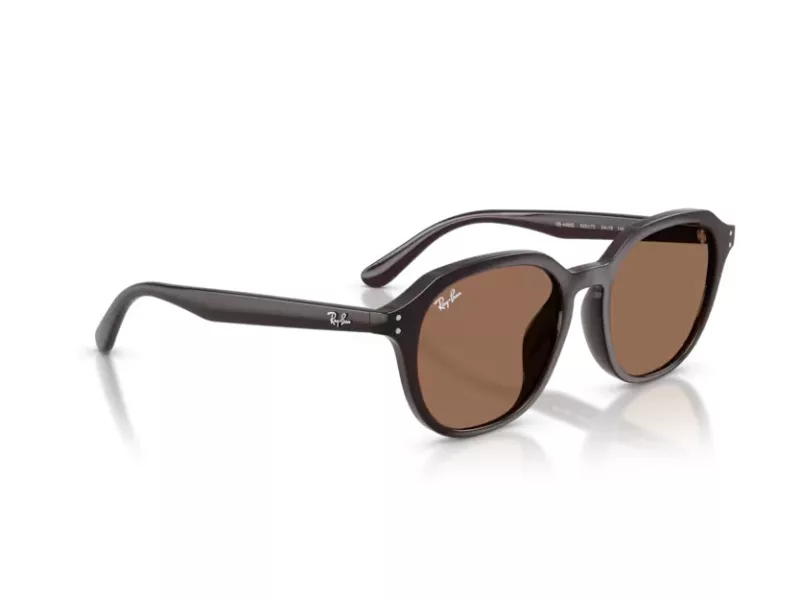 Ray-Ban Naočare za sunce RB 4459D 623173