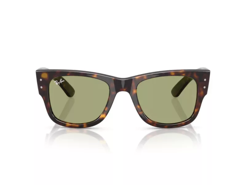 Ray-Ban Mega Wayfarer Naočare za sunce RB 0840S 902/4E