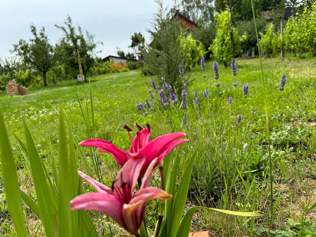 Vikendica na Fruškoj Gori