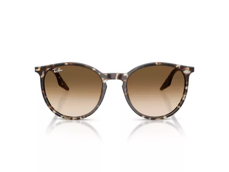 Ray-Ban Naočare za sunce RB 2204 143151