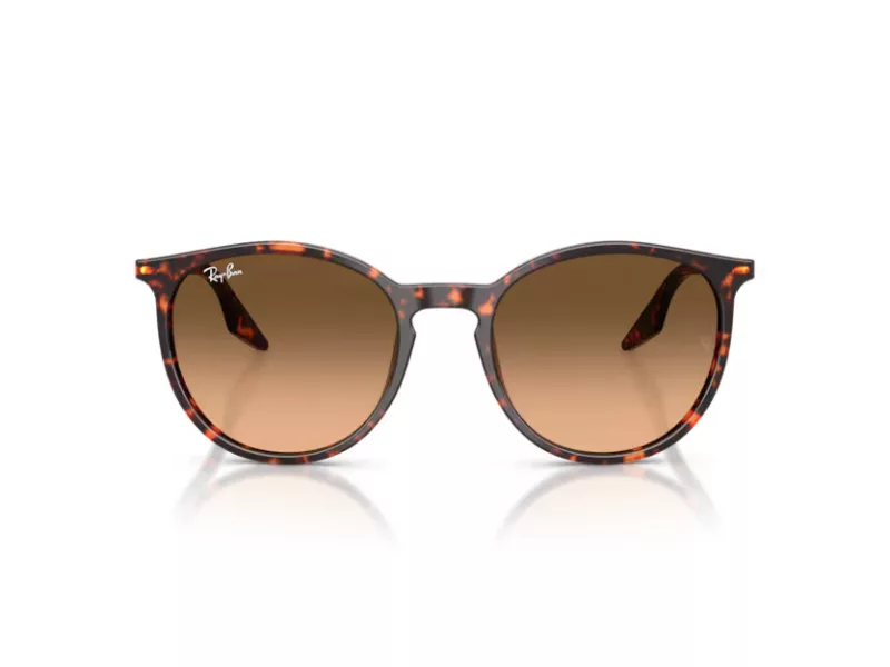 Ray-Ban Naočare za sunce RB 2204 14293B