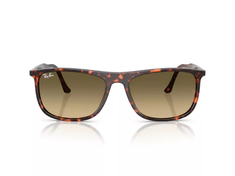 Ray-Ban Naočare za sunce RB 2216 14290A
