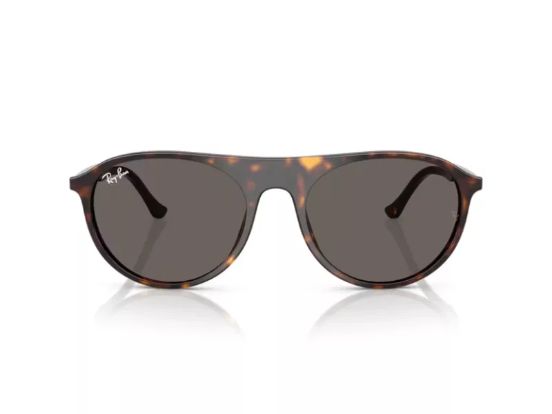 Ray-Ban Naočare za sunce RB 2215 902/B1