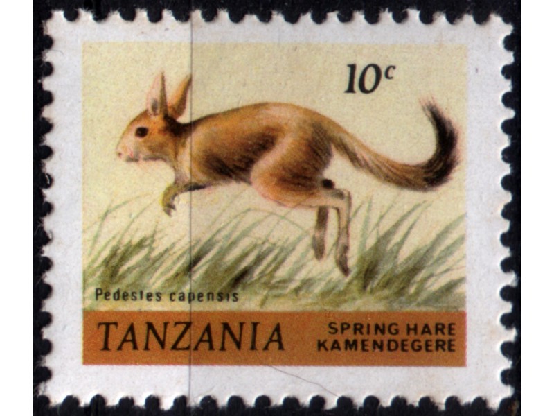 kt680l 01.okt1980 Tanzania Mi161A ** 1od14