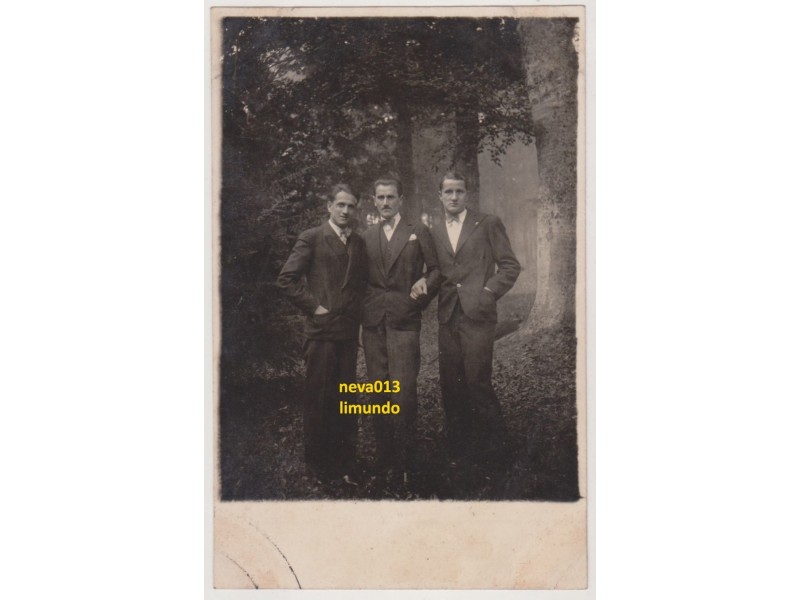 Stara FOTOGRAFIJA Kraljevina,Brestovac 1930god.