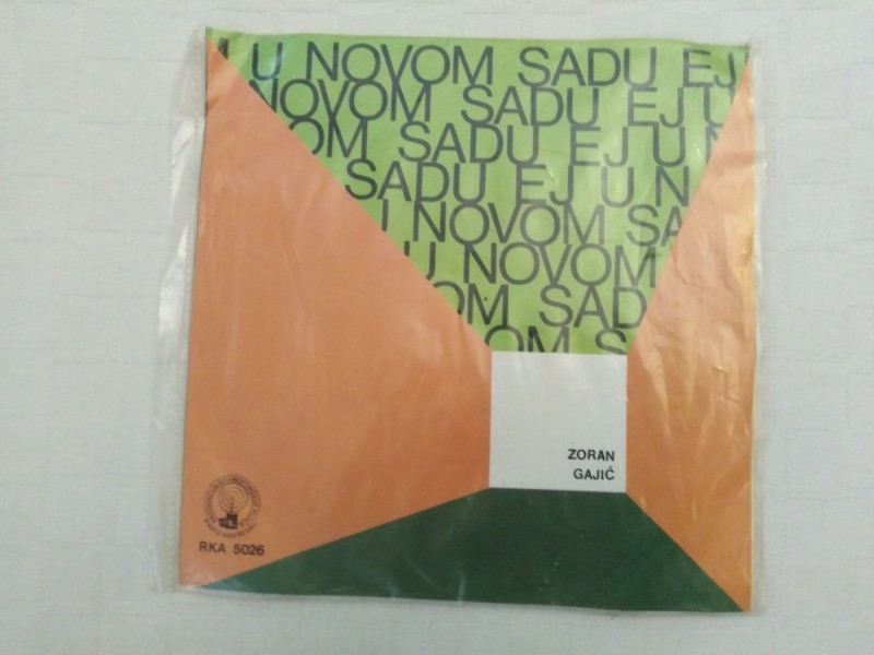 Zoran Gajić, U Novom Sadu ej