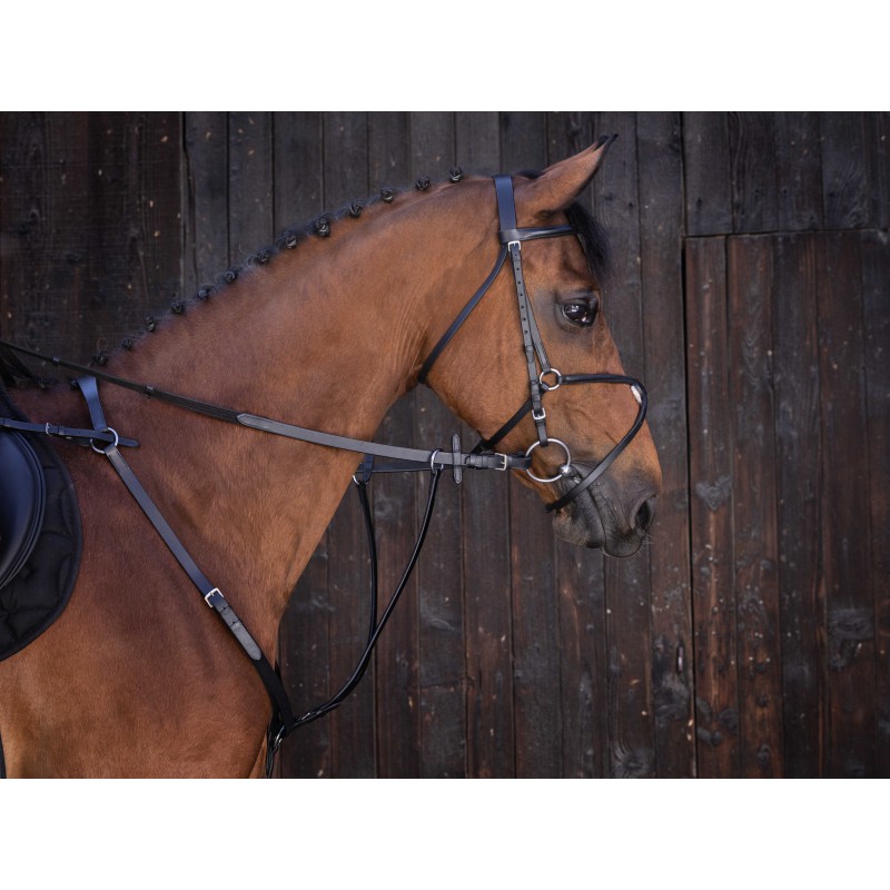 Kožni martingal Riding World