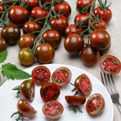 Paradajz Cherry Tigrino (25 semenki) čokoladni sa prugama