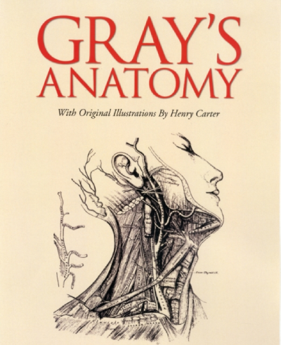 Gray's Anatomy: Slip-case Edition