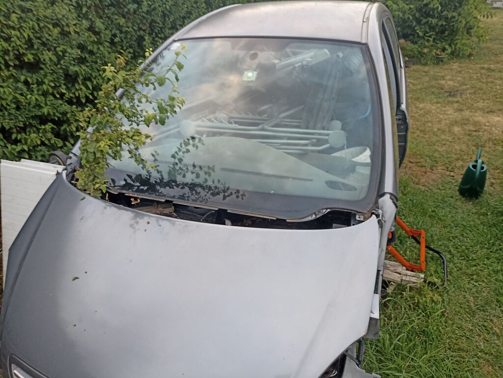 Citroen Xsara Picasso soferka - Stakla: prednje vetrobransko staklo i