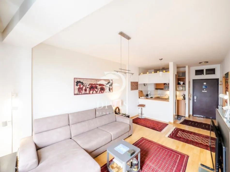 Prodaja, dvosoban stan, 41m2, Donji Dorćol, Dorćol, Beograd