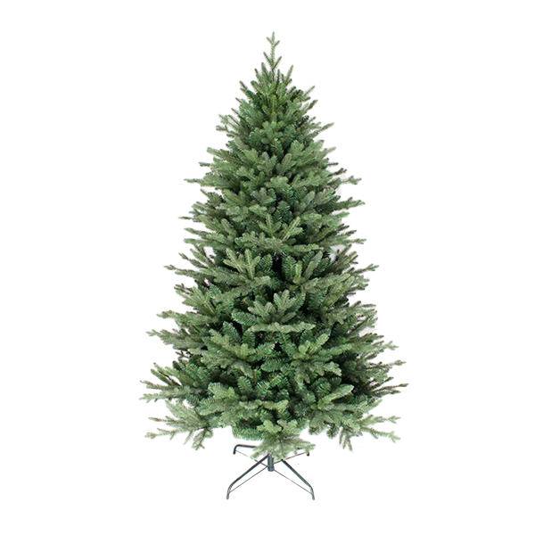 Novogodišnja jelka 240cm Stara planina 250307