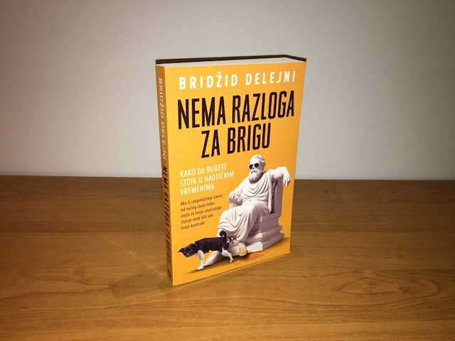 BRIDŽID DELEJNI - NEMA RAZLOGA ZA BRIGU
