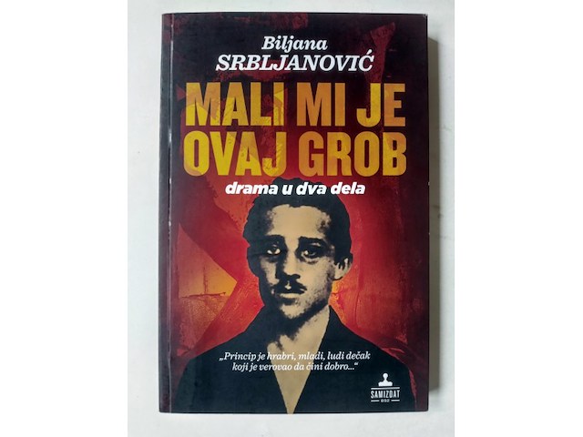 Biljana Srbljanović, MALI MI JE OVAJ GROB