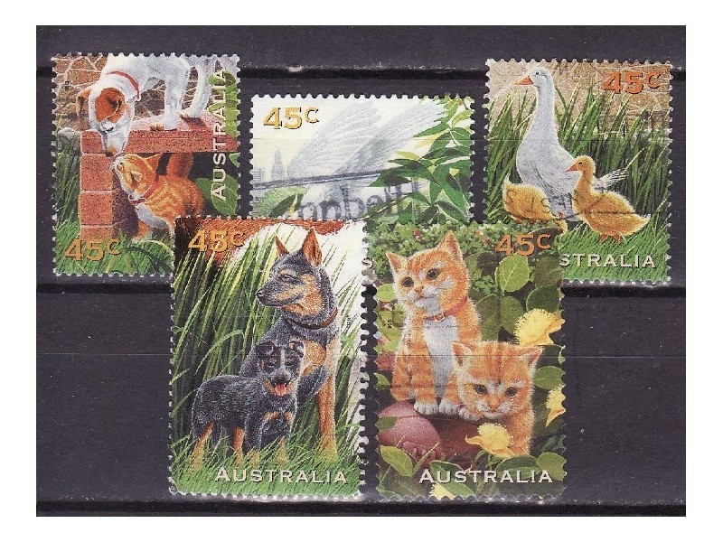 Australija - domaće životinje