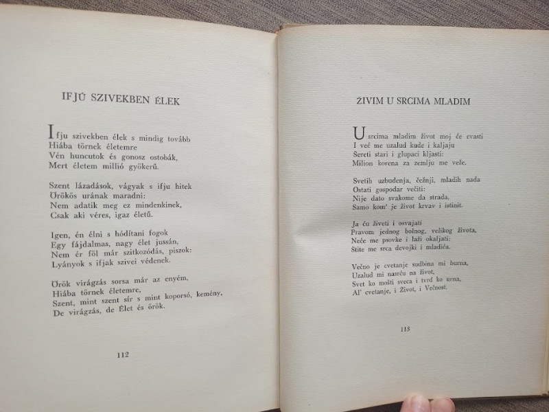 Endre Ady: Krv i zlato - dvojezično