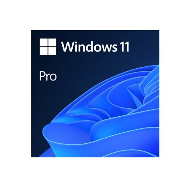 Microsoft Windows 11 Professional FQC-10528
