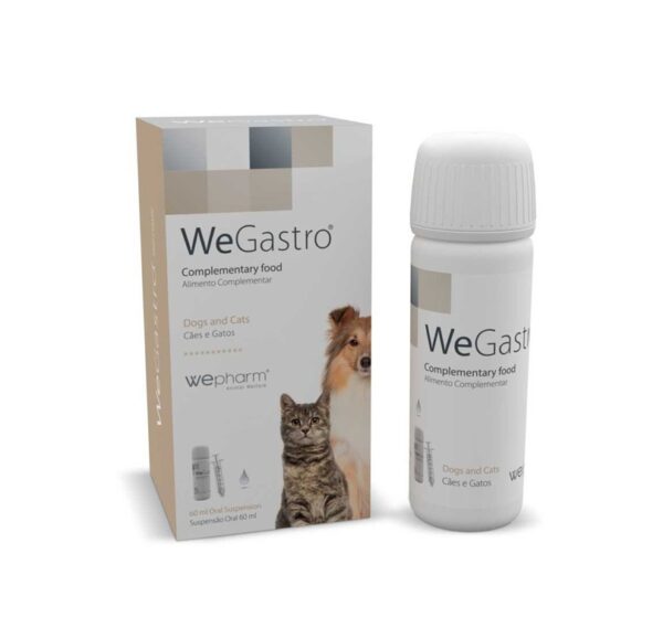 WePharm WeGastro sirup – 60 ml