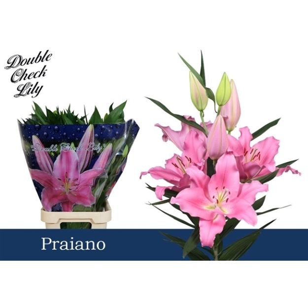 Li Or Praiano
