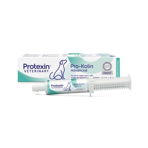 PRO-KOLIN ADVANCED PASTA 30ml
PRO-KOLIN ADVANCED PASTA 30ml