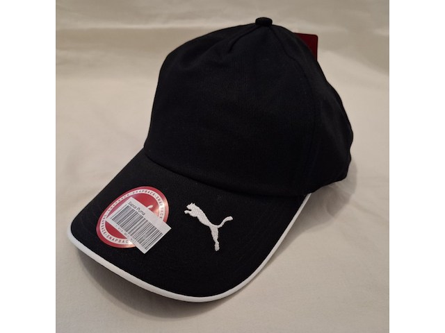 Puma kačket