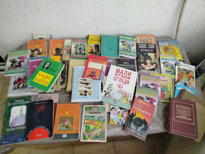 Lot 44 dečijih knjiga i lektira