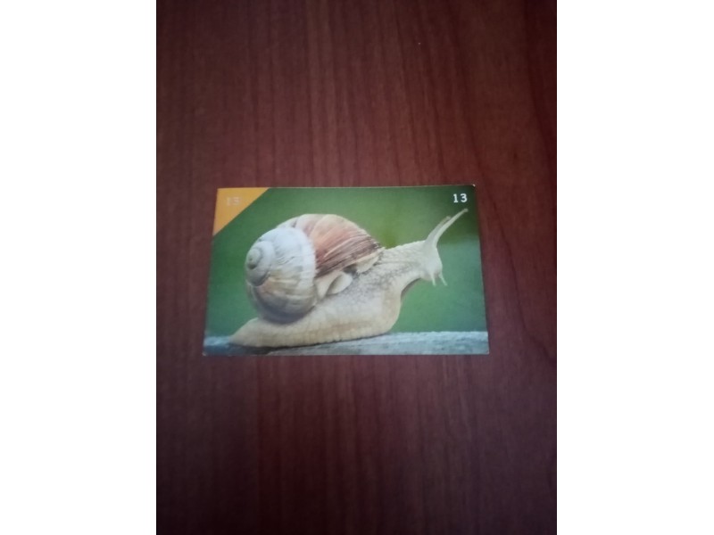 Životinjsko carstvo broj 13