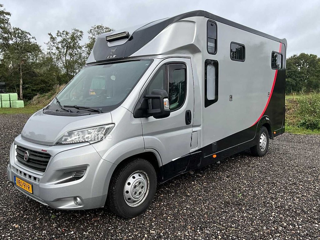 Prodaje se Fiat Ducato vozilo za prevoz konja na aukciji