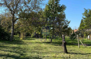 Prodajem Kuću, Bačko Gradište, Novi Sad Okolica