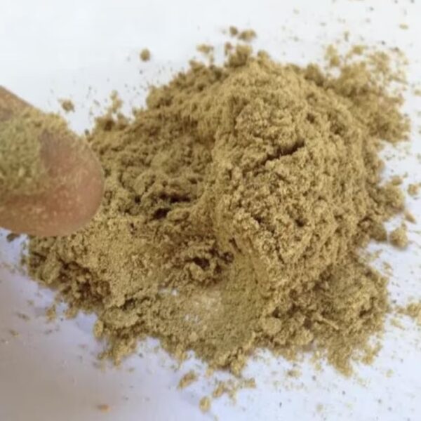 Salmon Fish Meal