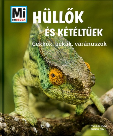 Hüllők és kétéltűek - Mi micsoda