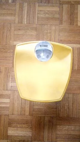 vaga Soehnle Za merenje telesne težine čoveka do 125kg