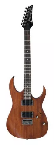 Ibanez RG421-MOL električna gitara
