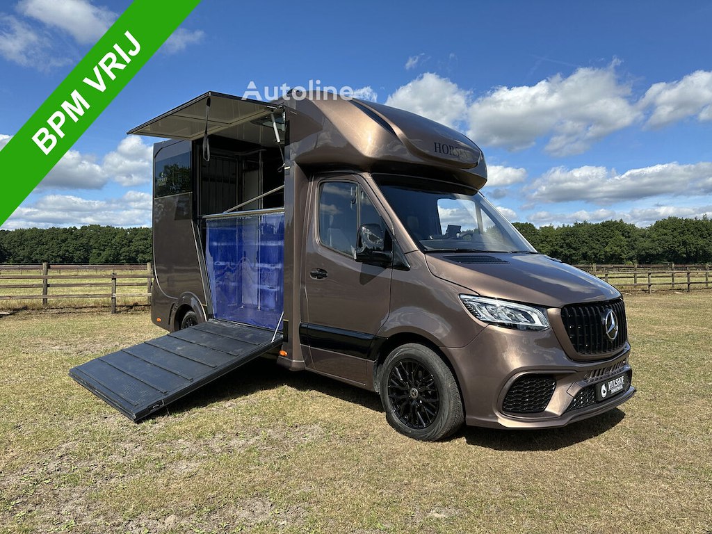 Mercedes-Benz Sprinter 319 AMG 2-paards paardenvrachtwagen vozilo za prevoz konja