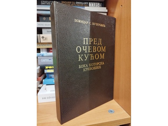 Pred očevom kućom - Božidar Vučurović