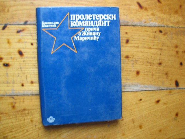 BRANISLAV BOŽOVIĆ-PROLETERSKI KOMANDANT PRIČA O ŽIVANU