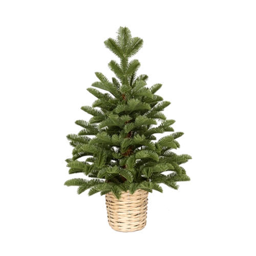 Novogodišnja jelka u saksiji zelena 60cm 250310