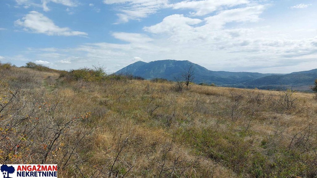 Boljevac, Rtanj – Krivi vir 22, 87ari ID#28921
