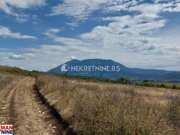 Boljevac, Rtanj – Krivi vir 1ha 48ari 66kvm ID#28932