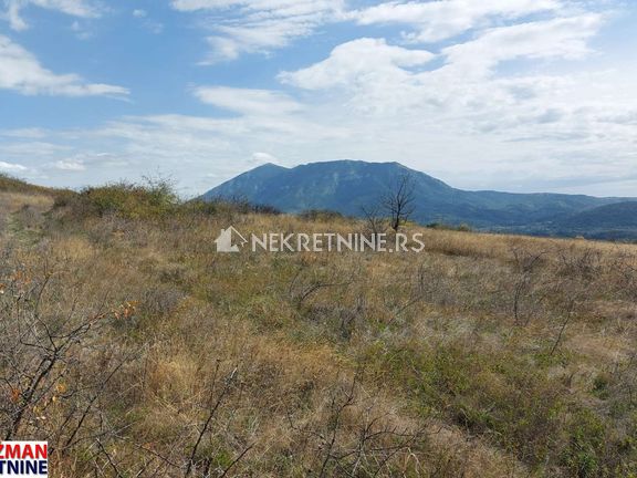 Boljevac, Rtanj – Krivi vir 22,87ari ID#28921