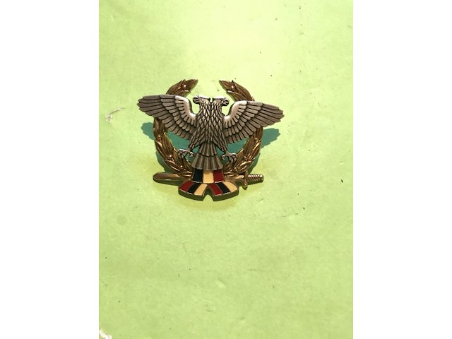 Generalska oznaka RVO- velika