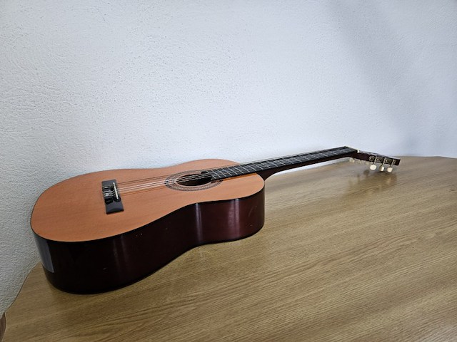 Akusticna klasicna gitara Eagle EAC-501