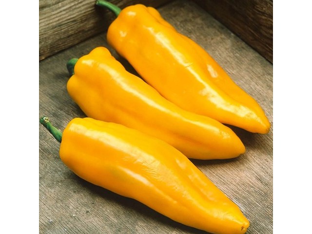 Paprika Marconi Golden (25 semenki)