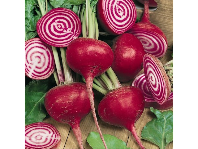 Cvekla Chioggia (200 semenki)