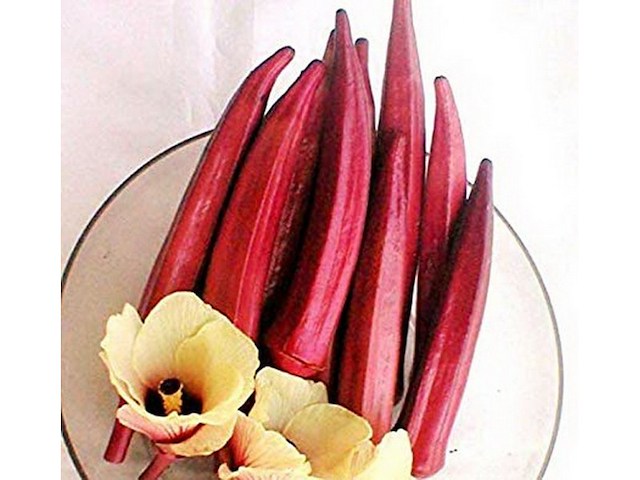 Crvena Bamija (30 semenki) Okra Red Burgundy