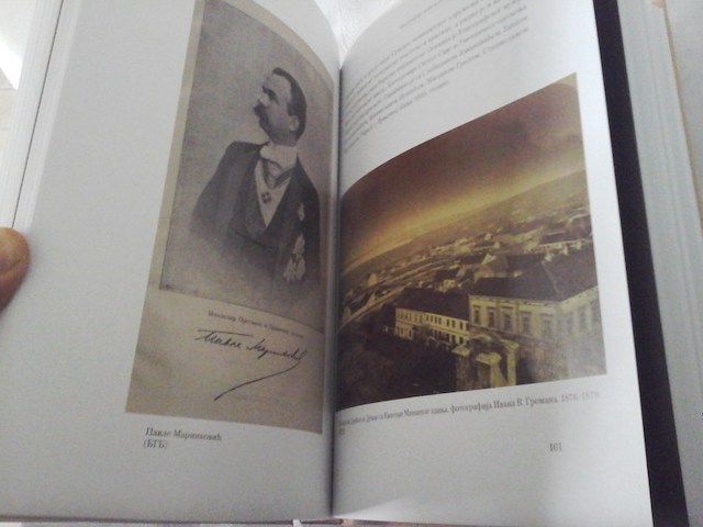 Srpska napredna stranka 1881 - 1919 Aleksandar Rastović