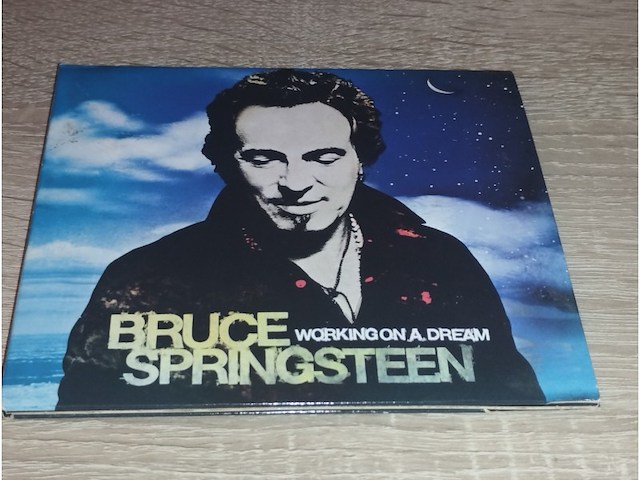 Bruce Springsteen - Working on a dream