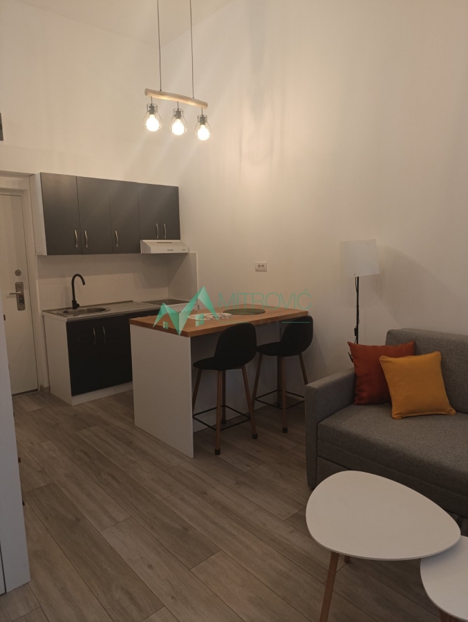 Izdavanje, Stan, 28m2 , Rotkvarija