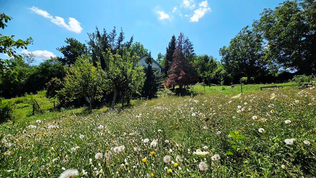 KORUŠKA, SUSEK - ODLIČNA USELJIVA VIKENDICA, SAMO 57000 EUR